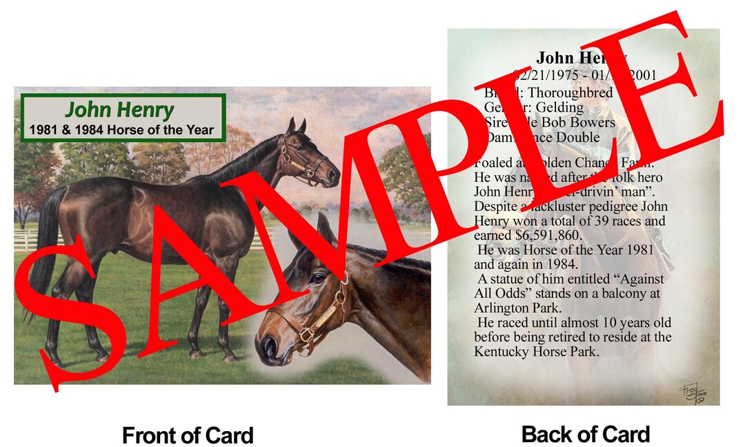 John Henry Race Horse Trading Card 1981 & 1984 Horse of the Year - Etsy