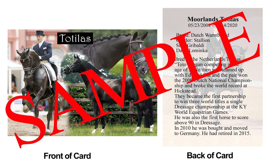 Totilas Horse Trading Card Champion Dutch Warmblood Dressage Horse - Etsy