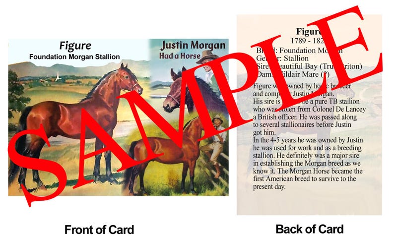 Justin Morgan Horse Trading Card Figure Morgan Horse - Etsy