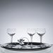 Apéritif and Digestif Glasses / Crystal Cordial Glass / Shot Glass ...