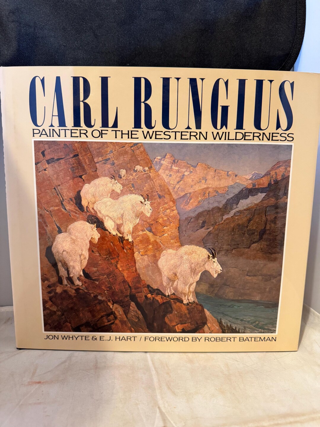 Carl Rungius Painter of the Western Wilderness - Whyte & Hard - New ...