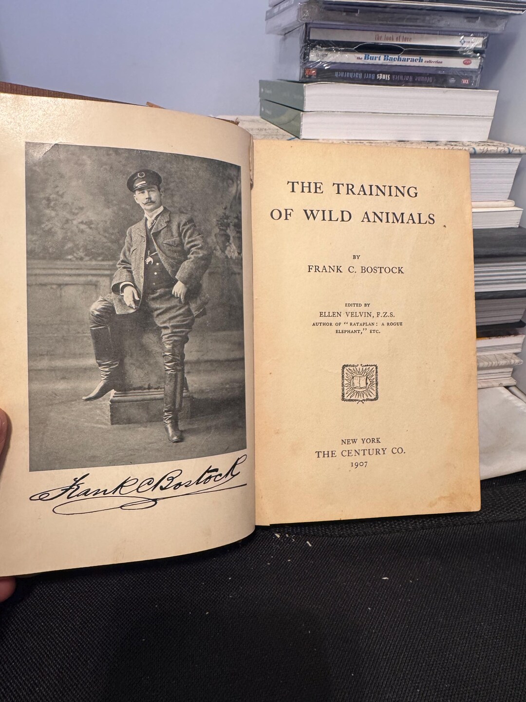 The Training of Wild Animals - Frank C. Bostock 1907 / Used - Etsy