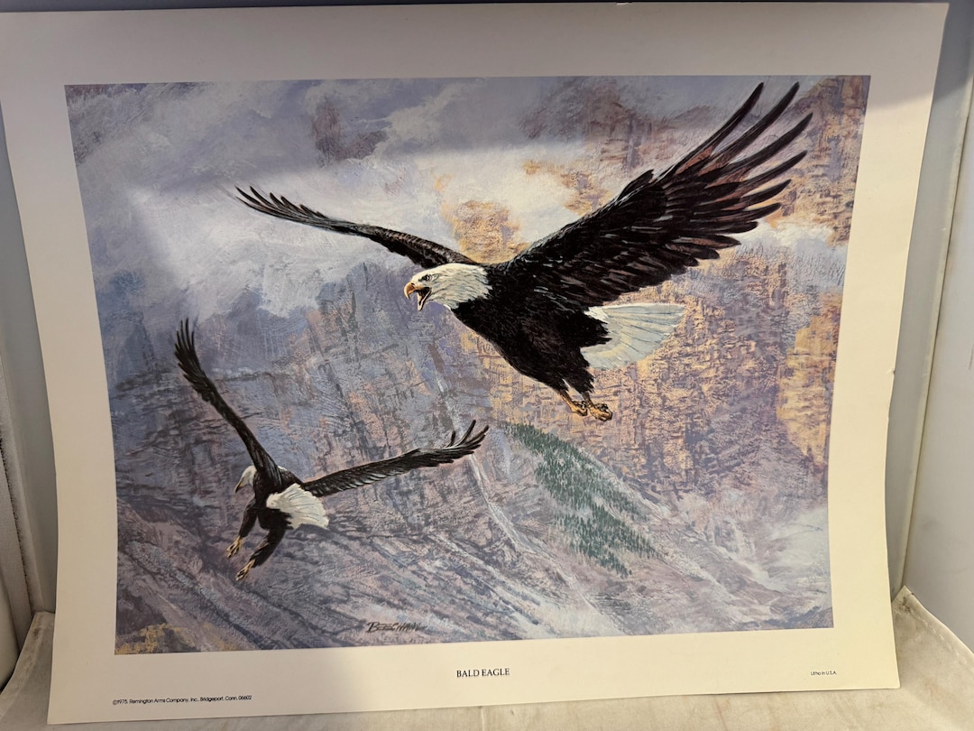 Bald Eagle Tom Beecham Remington Wildlife Art Collection Print 1975 - Etsy