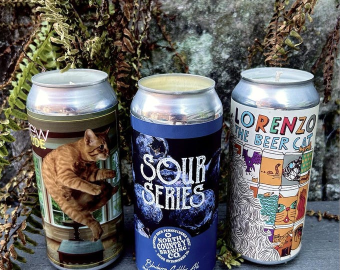 Beer Can Candles, 12 Oz., 16 0z., Numerous Breweries & Scents - Etsy