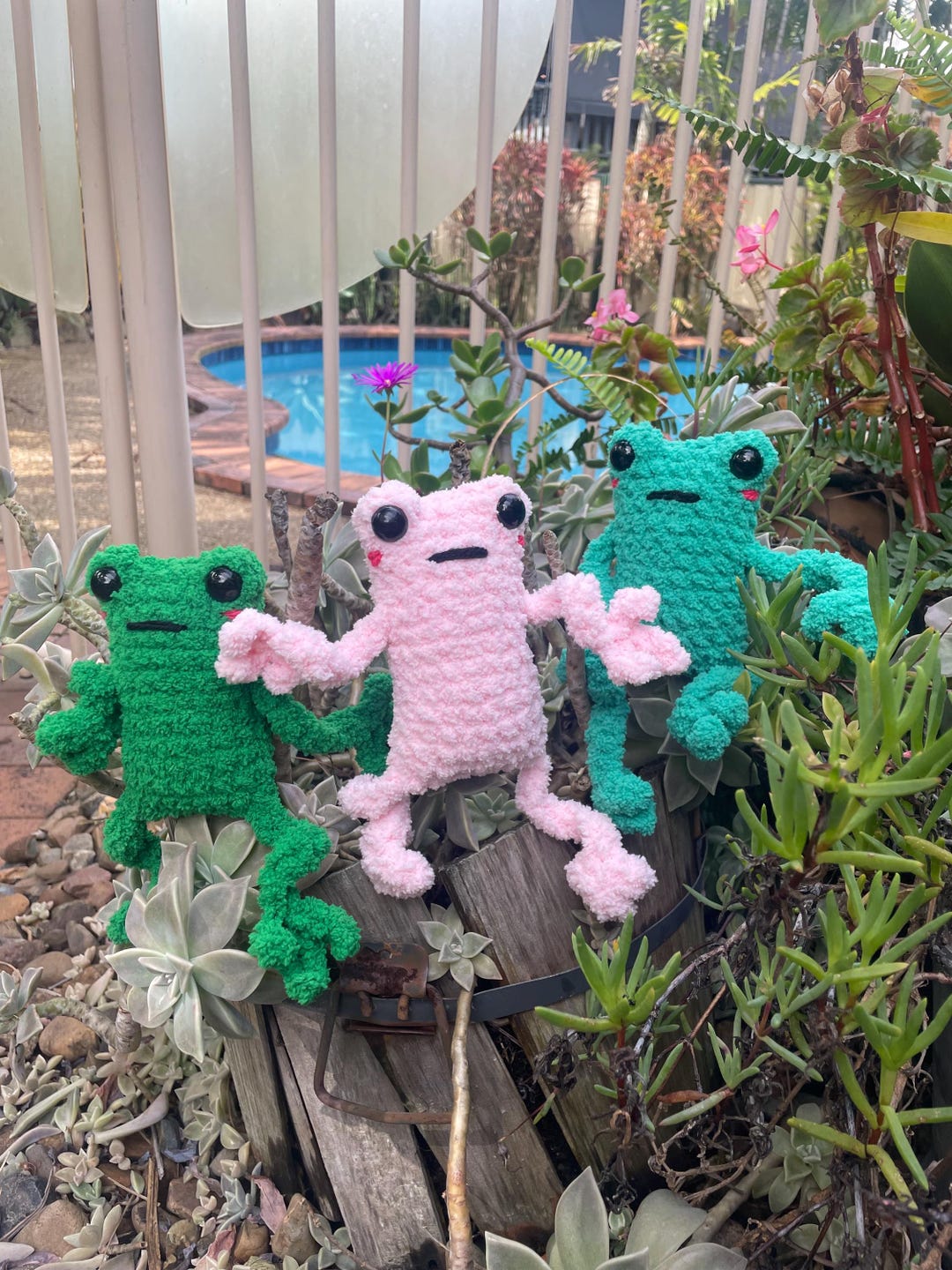 Leggy Frogs - Etsy