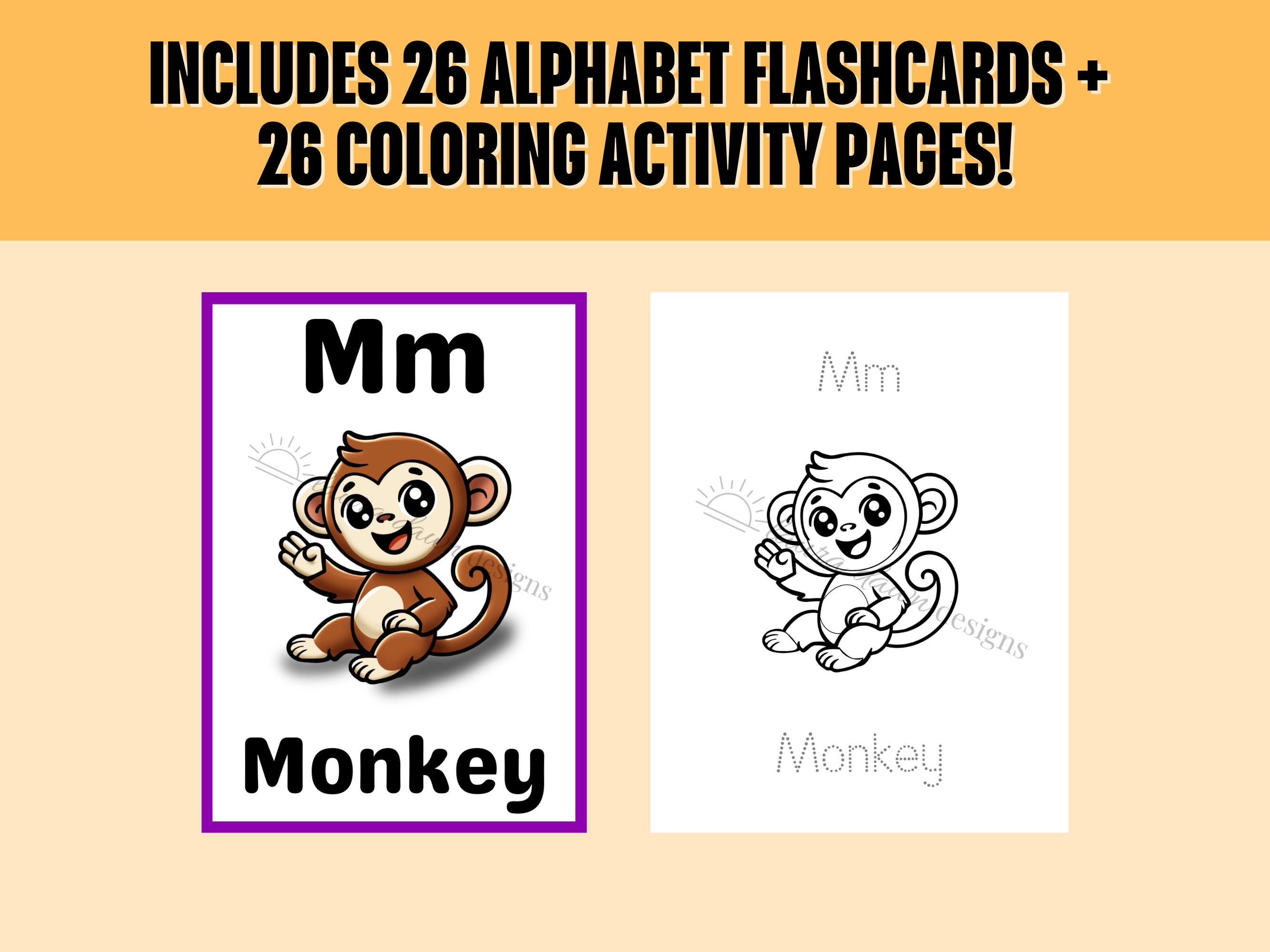 Alphabet Flashcards Printable – ABC Learning Cards Coloring Tracing ...