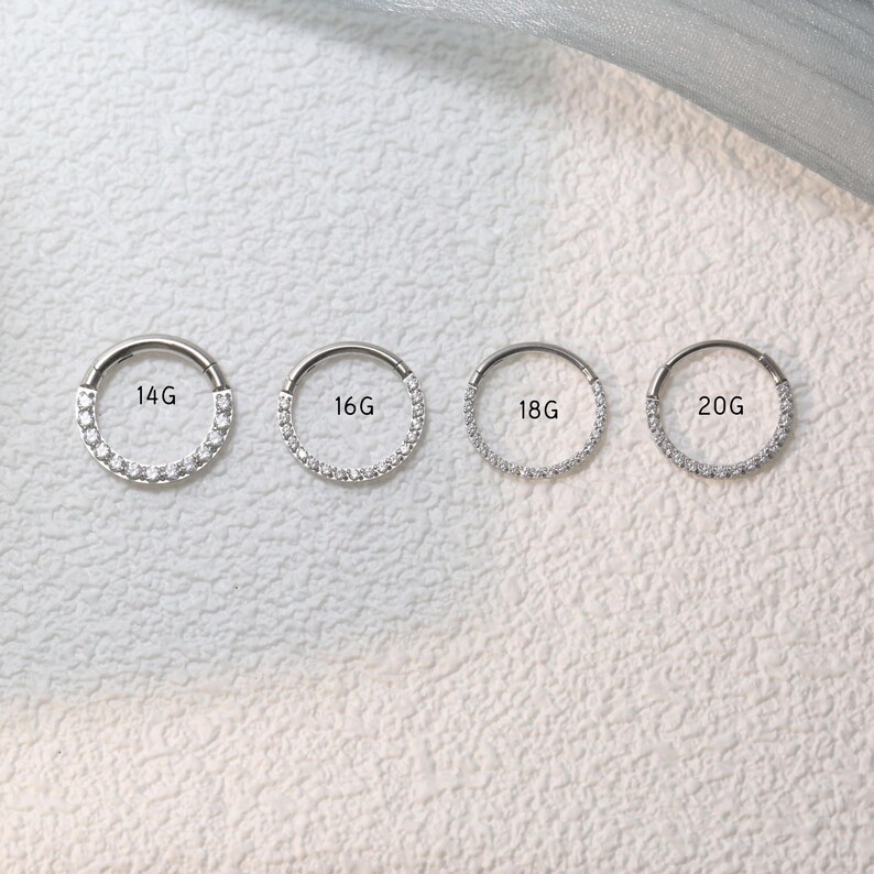 Nasal Septum Ring/nasal Septum Jewelry/shiny Zirconia Piercing Jewelry 316L 20G 18G 16G 14G ...