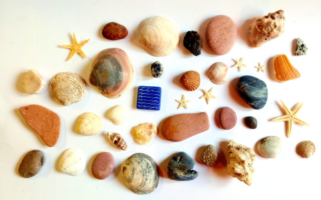 Set of Seashells and Natural Stones for Decoration and Crafts, Marine ...