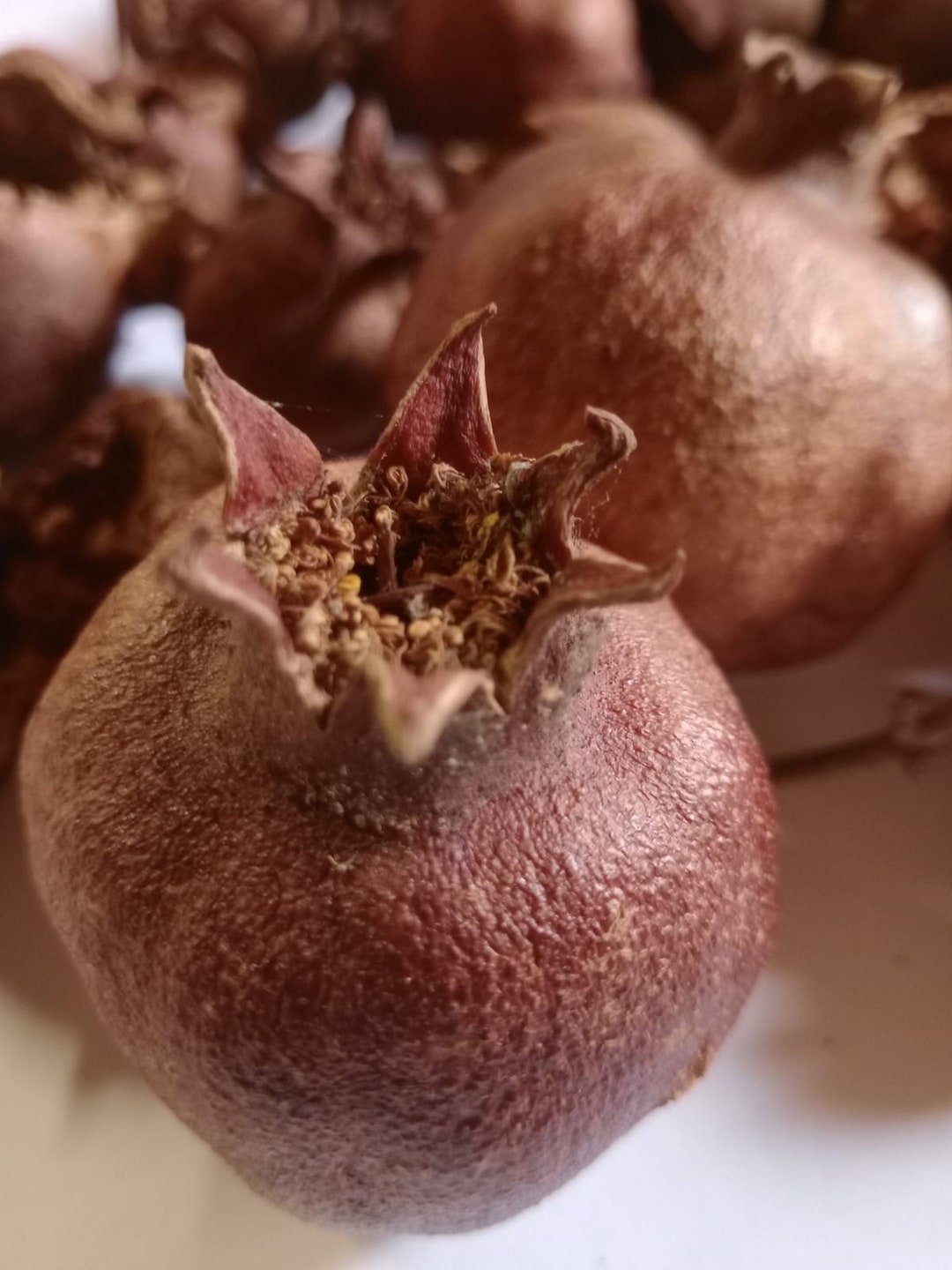 Dried, Split Pomegranates | Decoration | Crafts | DIY Projects, Skins ...