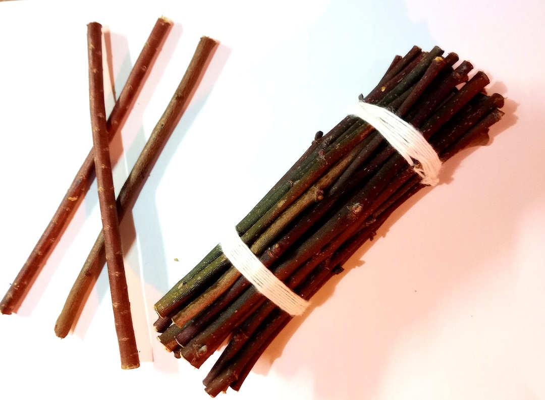 Bunch of Natural Sticks for Decoration and Crafts Craft Sticks for DIY ...