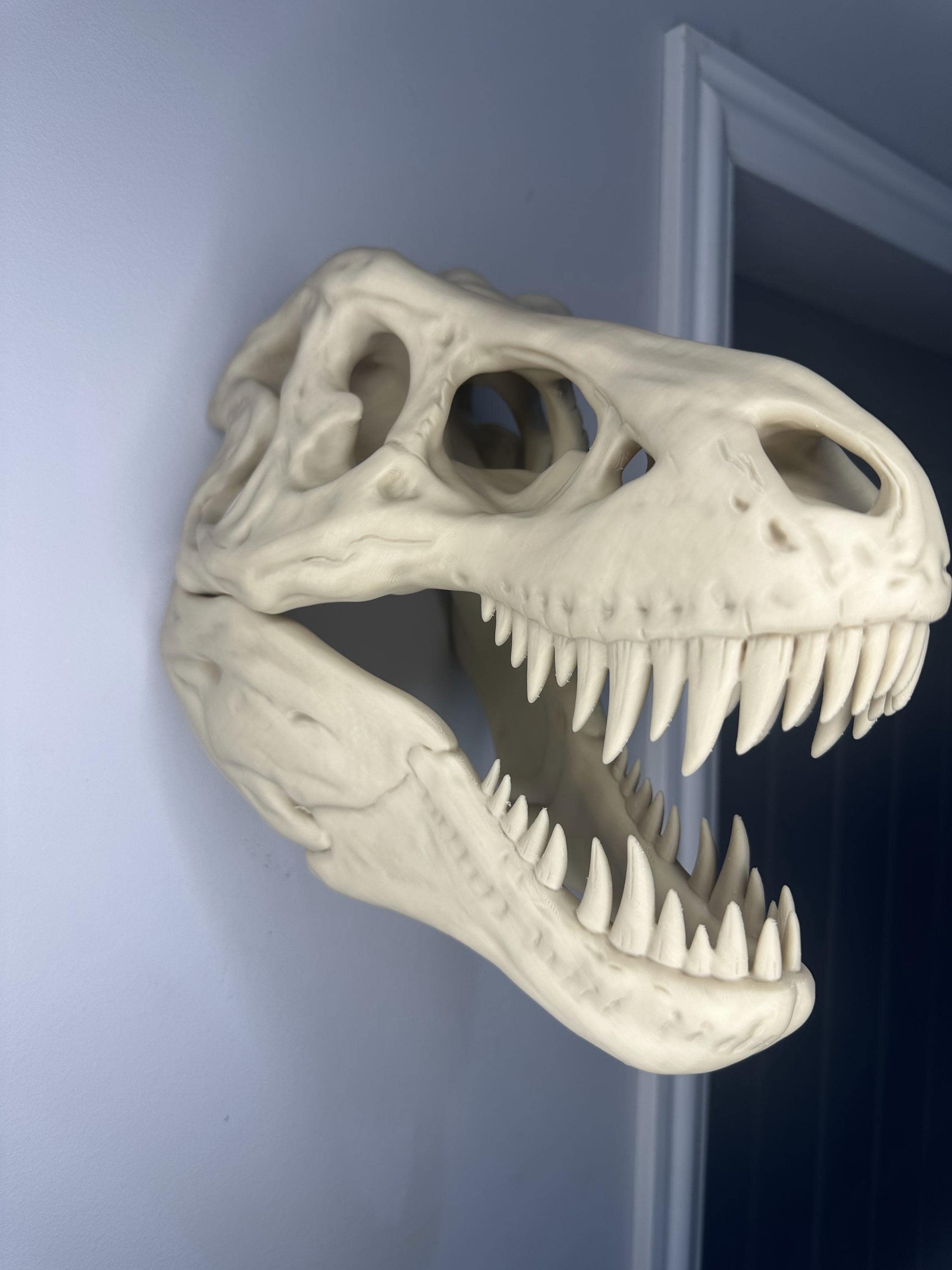 XL 3D Printed T-rex Skull Wall Mount: Dinosaur Decor - Etsy UK