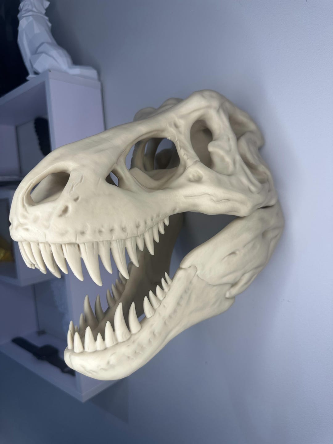 XL 3D Printed T-rex Skull Wall Mount: Dinosaur Decor - Etsy UK