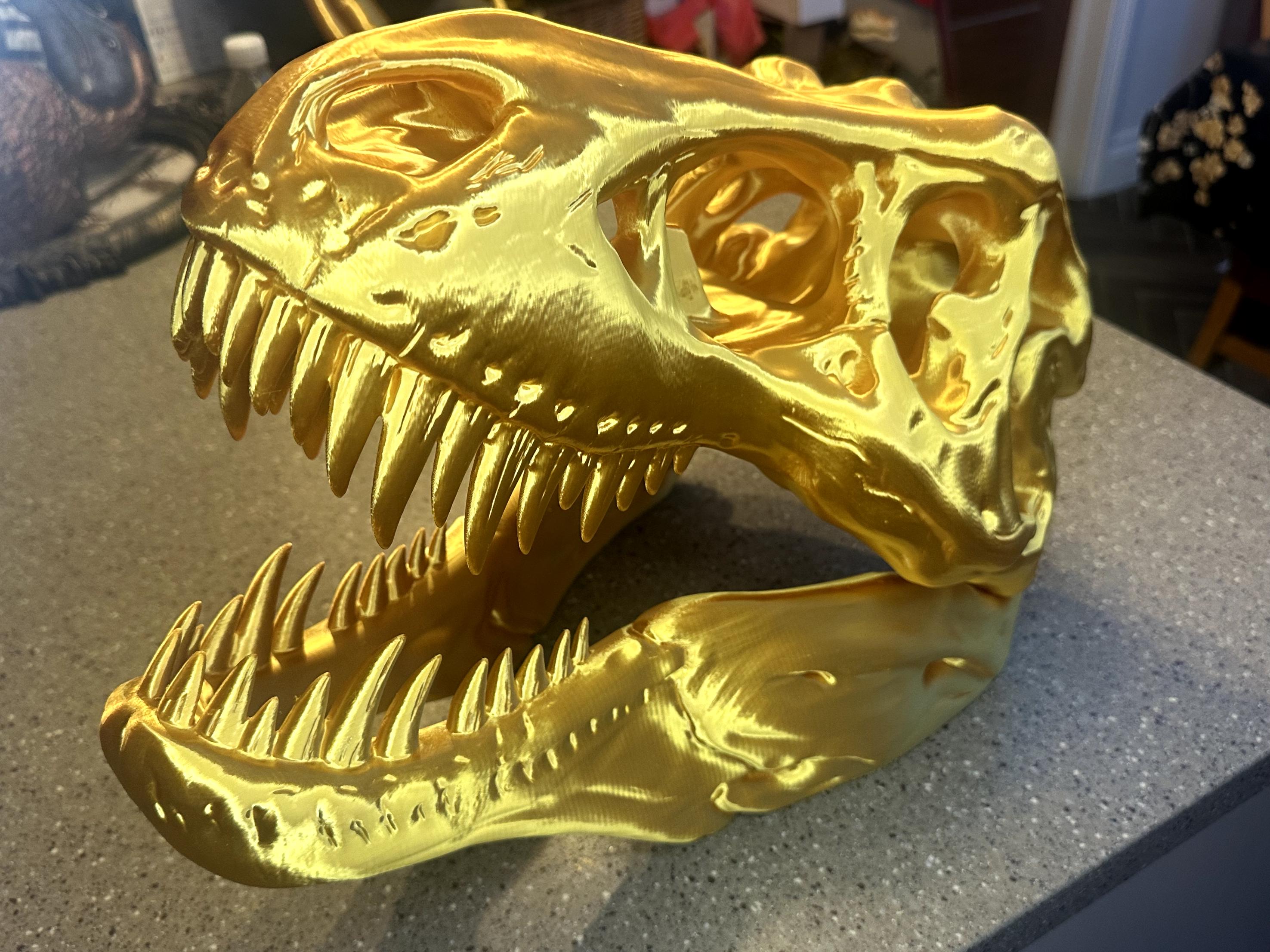 XL 3D Printed T-rex Skull Wall Mount: Dinosaur Decor - Etsy