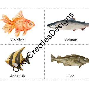 Underwater Animals and Fish Flashcards for Toddlers and Babies ...