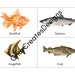 Underwater Animals and Fish Flashcards for Toddlers and Babies ...