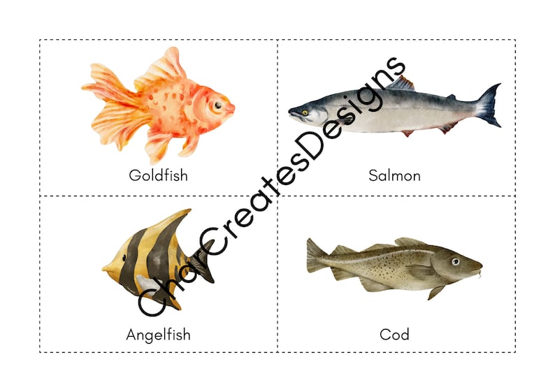 Underwater Animals and Fish Flashcards for Toddlers and Babies ...