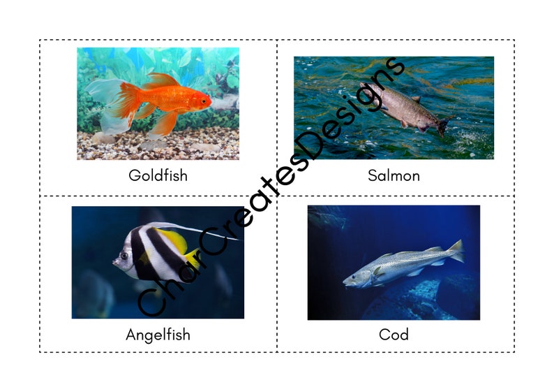 Underwater Animals and Fish Flashcards for Toddlers and Babies ...