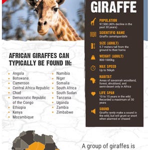 3D Printed Giraffe Skull Replica: Museum-quality Animal Skull Model - Etsy