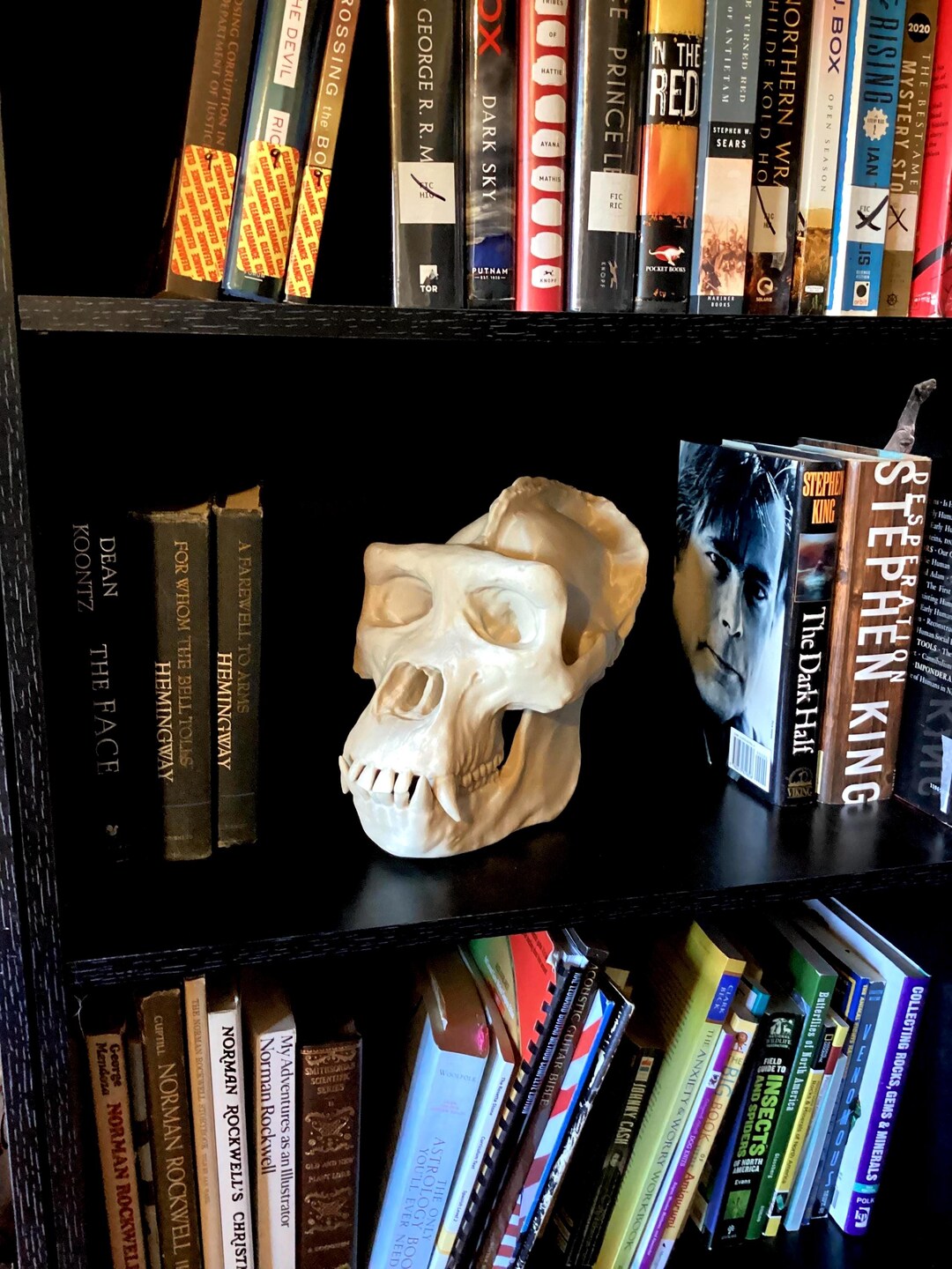 Gorilla Skull Replica Museum-quality 3D Printed Bone PLA Realistic ...