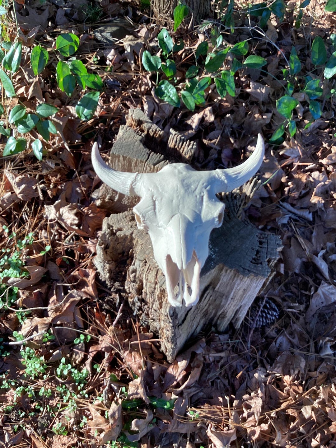 Bison Skull Replica: Western Home Decor - Etsy