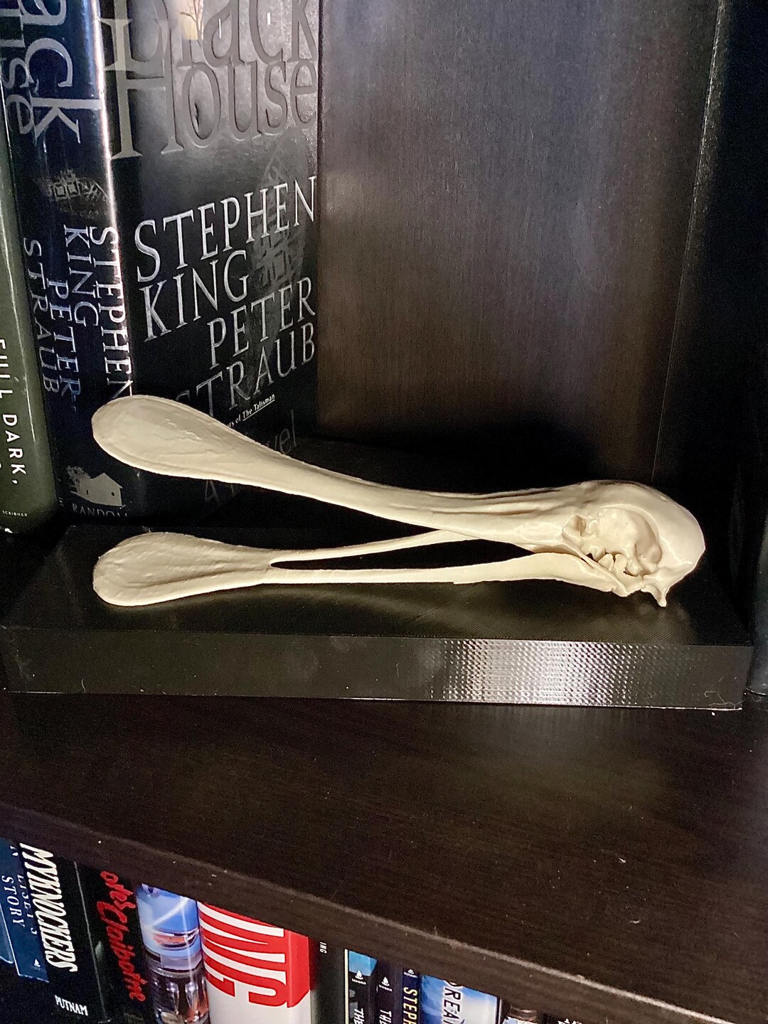 Spoonbill Skull and Beak Replica With Display Base – Realistic Bird ...