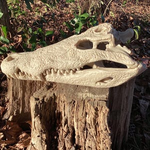 Crocodile Skull Replica: Museum-quality Bone Decor, 3d Printed ...