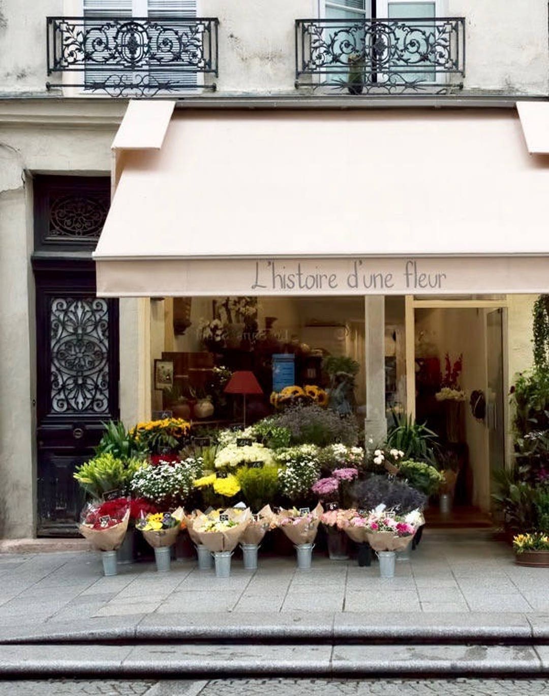 Paris Photography, “l'historie D'une Fleur” Paris Print, Large Art ...