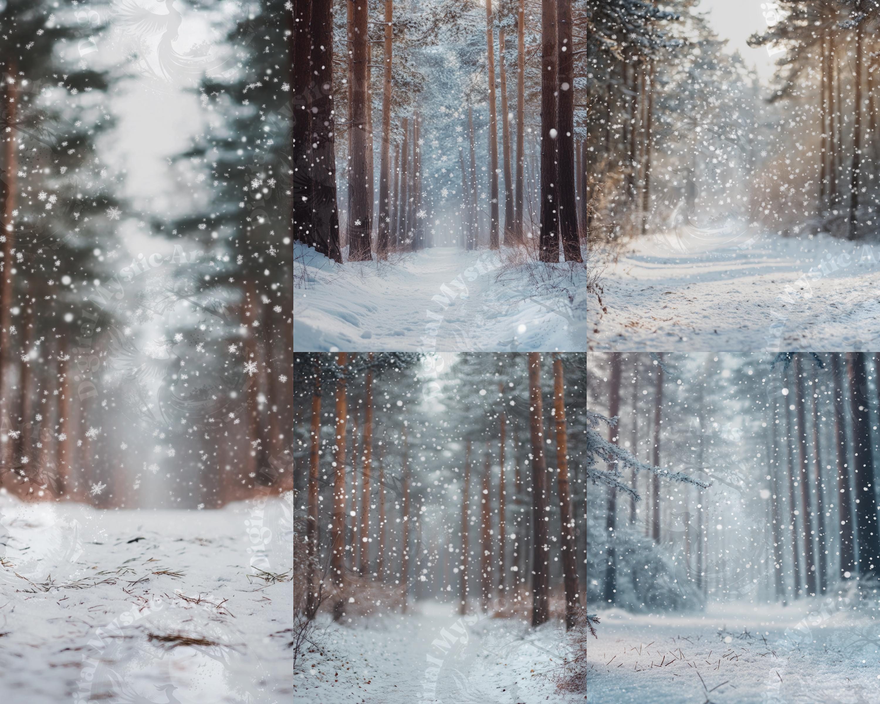 Winter Background Snow Digital Backdrop for Photography Winter Backdrop ...