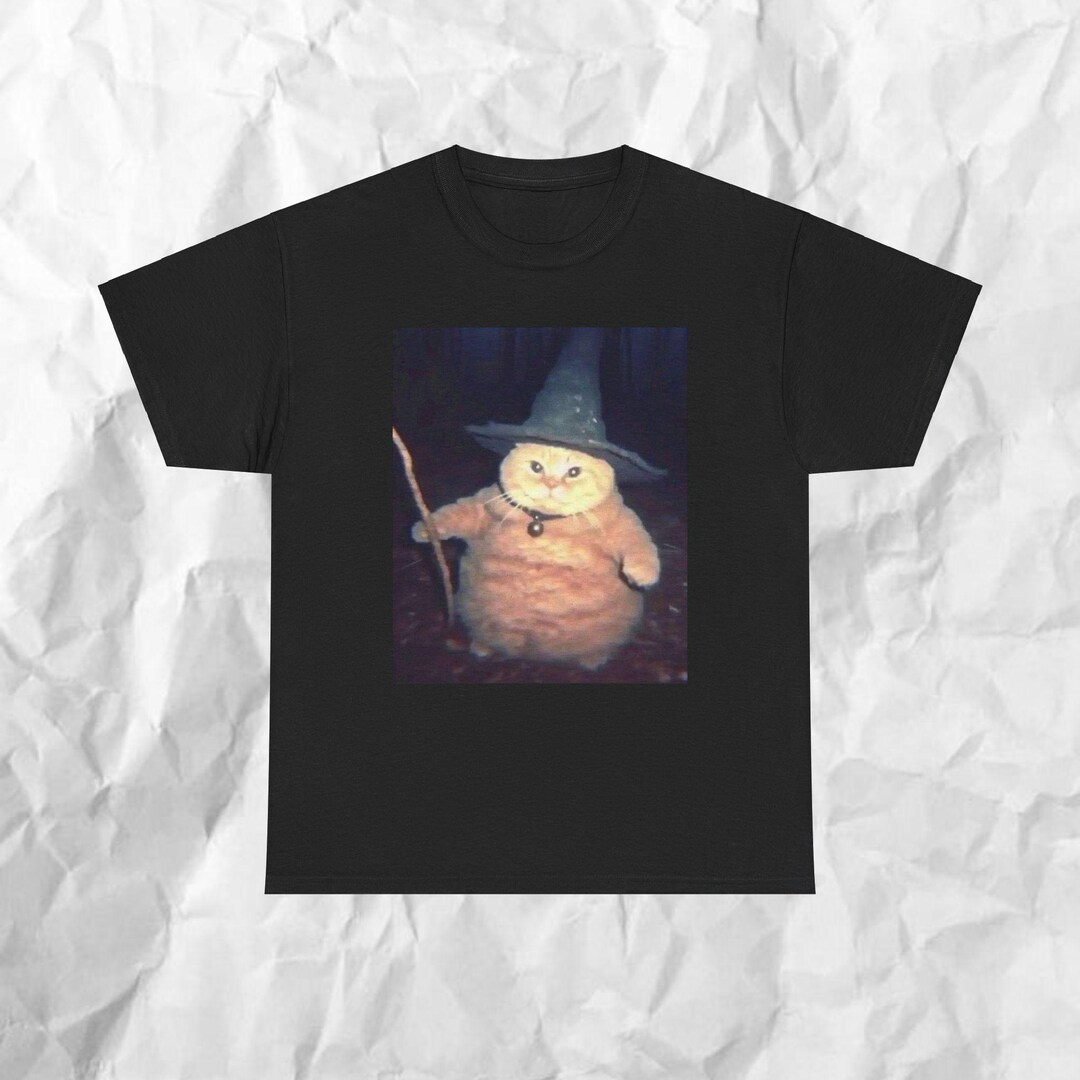 Wizard Cat Unisex Tee, Chubby Cat Meme Shirt, Funny Cat Lover Gift ...