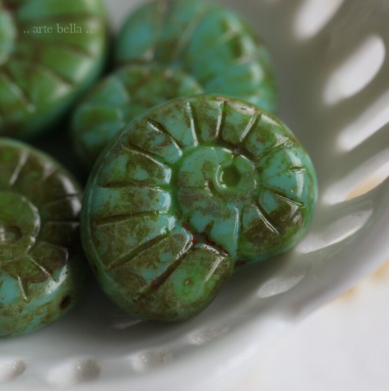 MOSSY TURQUOISE FOSSIL .. 4 Premium Picasso Czech Nautilus - Etsy