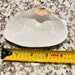Bee Clam Shell Ring Dishes - Etsy