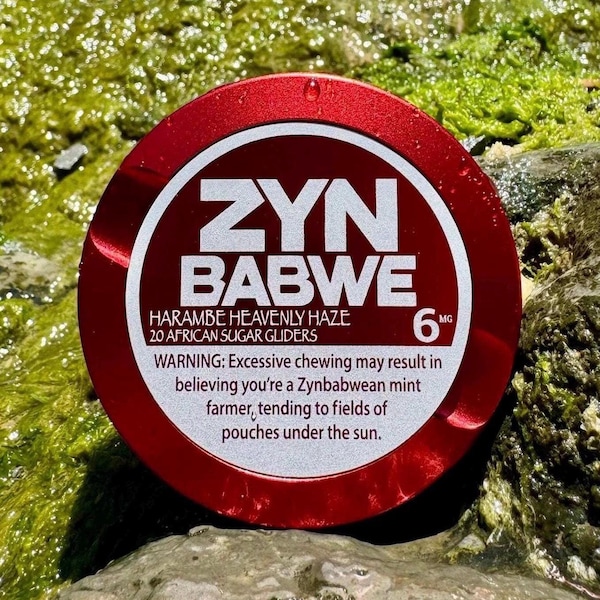 Zyn Metal Container - Etsy