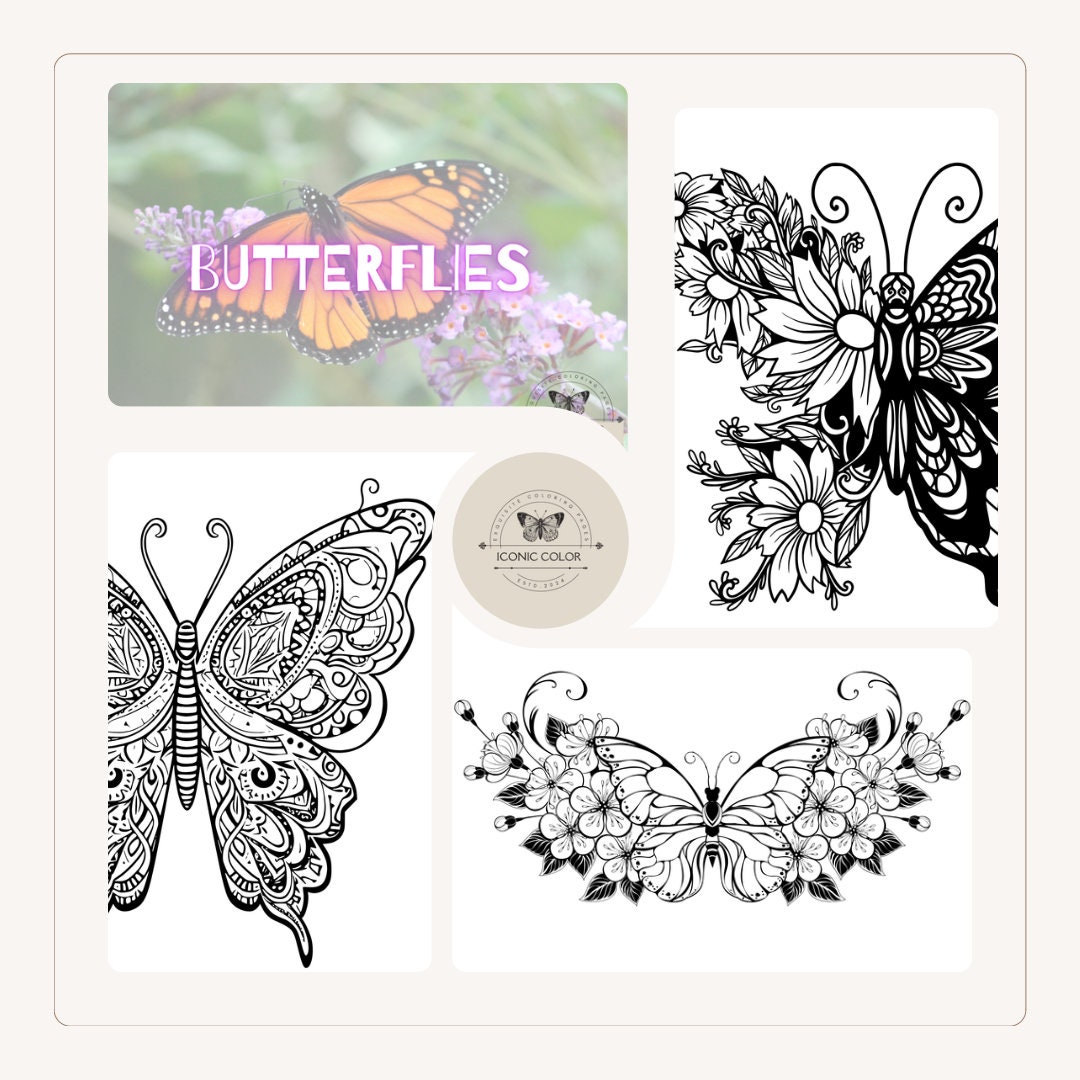 Butterfly Coloring Pages 10 Pages DIGITAL Download & Print - Etsy