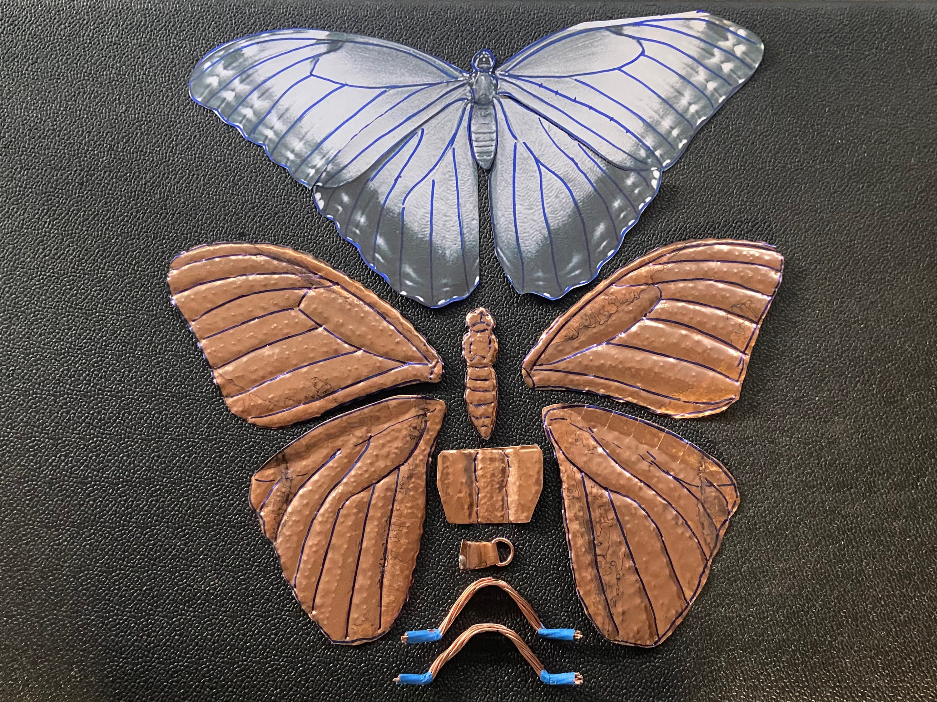 Blue Morpho Butterfly Costa Rica Creation Story Colores De La Jungla ...