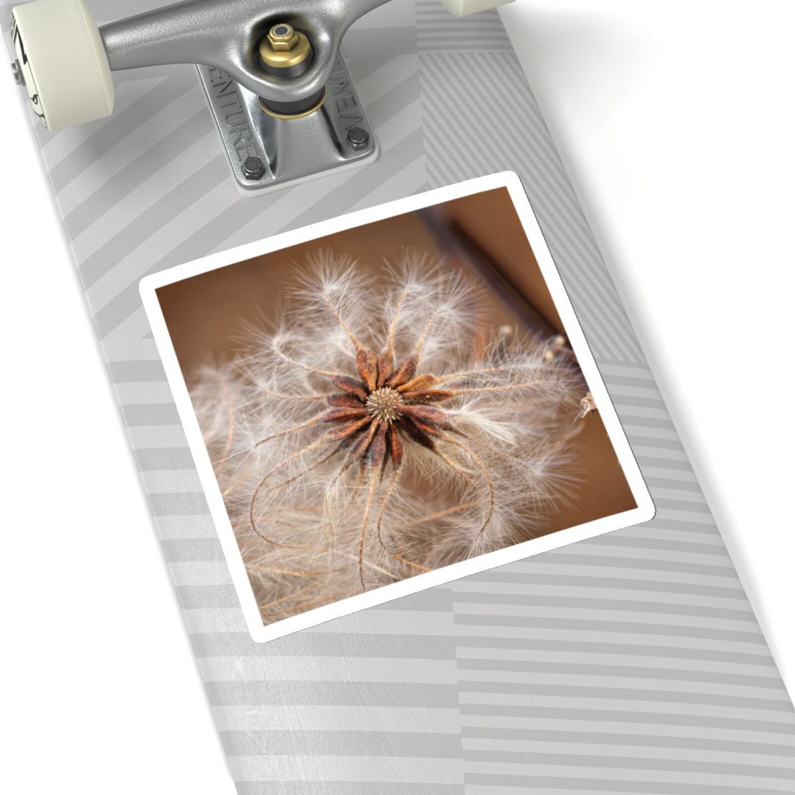 Seed Pod Sticker, Funky Seed Pod, Winter Seed Pod, Fluffy Seed Pod ...