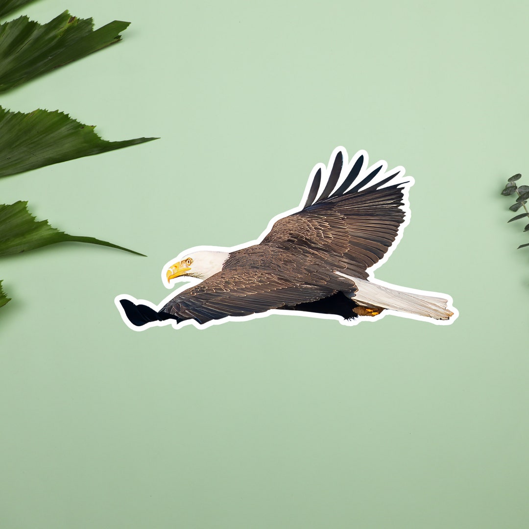 Bald Eagle Sticker, Bald Eagle in Flight, Eagle in Flight Sticker ...