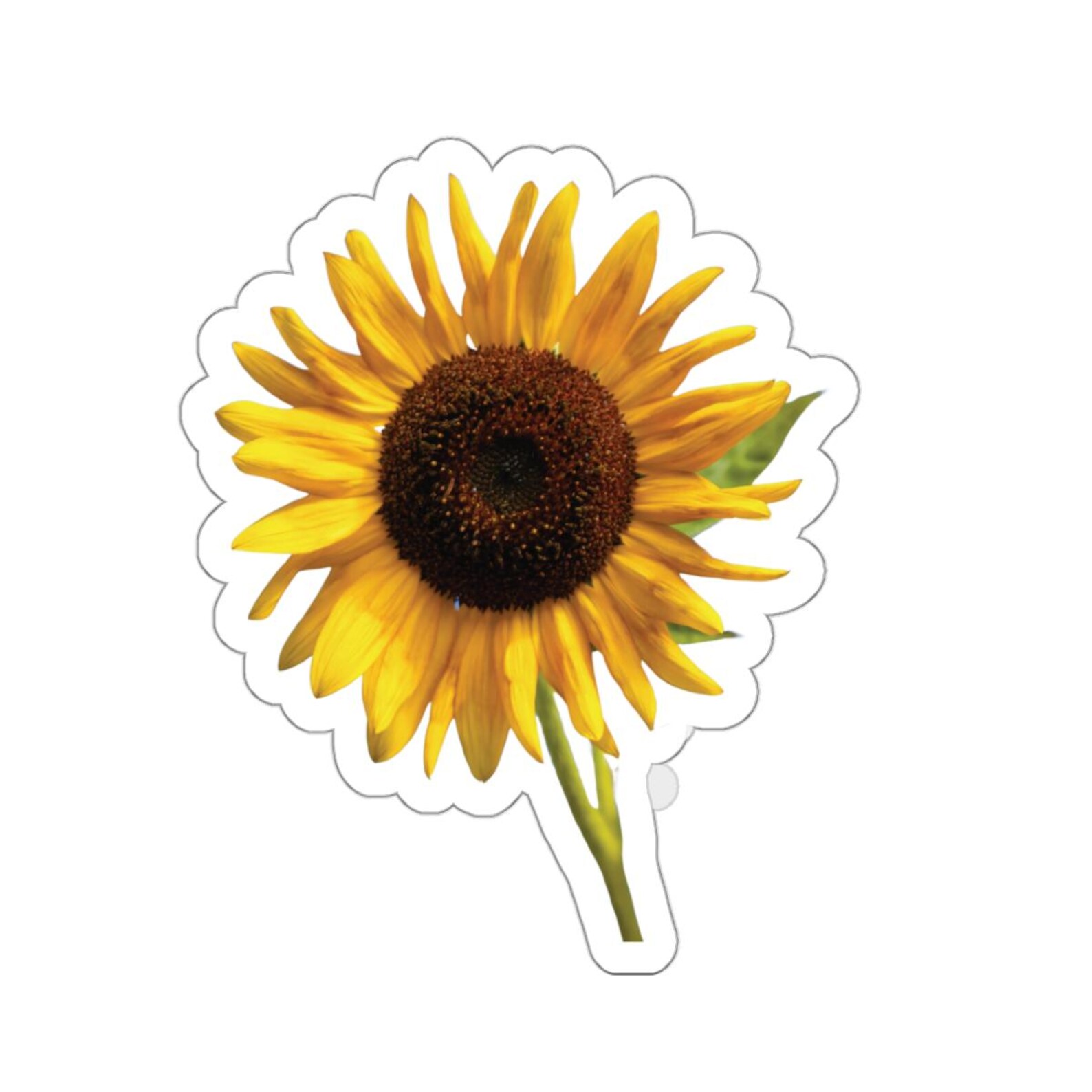Sunflower Stickers, Sunflowers, Sunflower Seeds, Nature Stickers ...