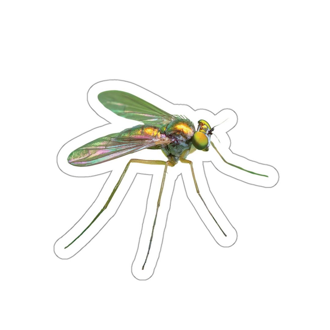 Shiny Bug Sticker, Shiny Fly Stickers, Shiny Bug Stickers, Shiny Flies ...