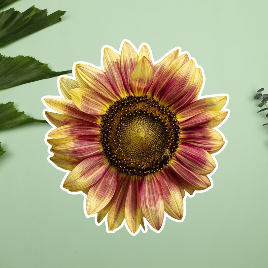 Sunflower Stickers, Sunflowers, Sunflower Seeds, Nature Stickers ...