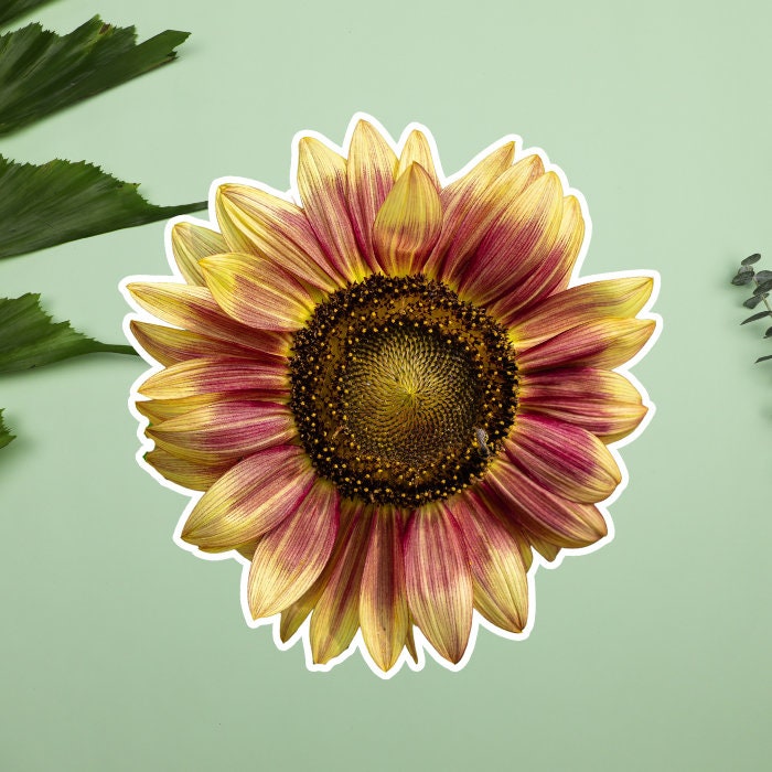 Sunflower Stickers, Sunflowers, Sunflower Seeds, Nature Stickers ...