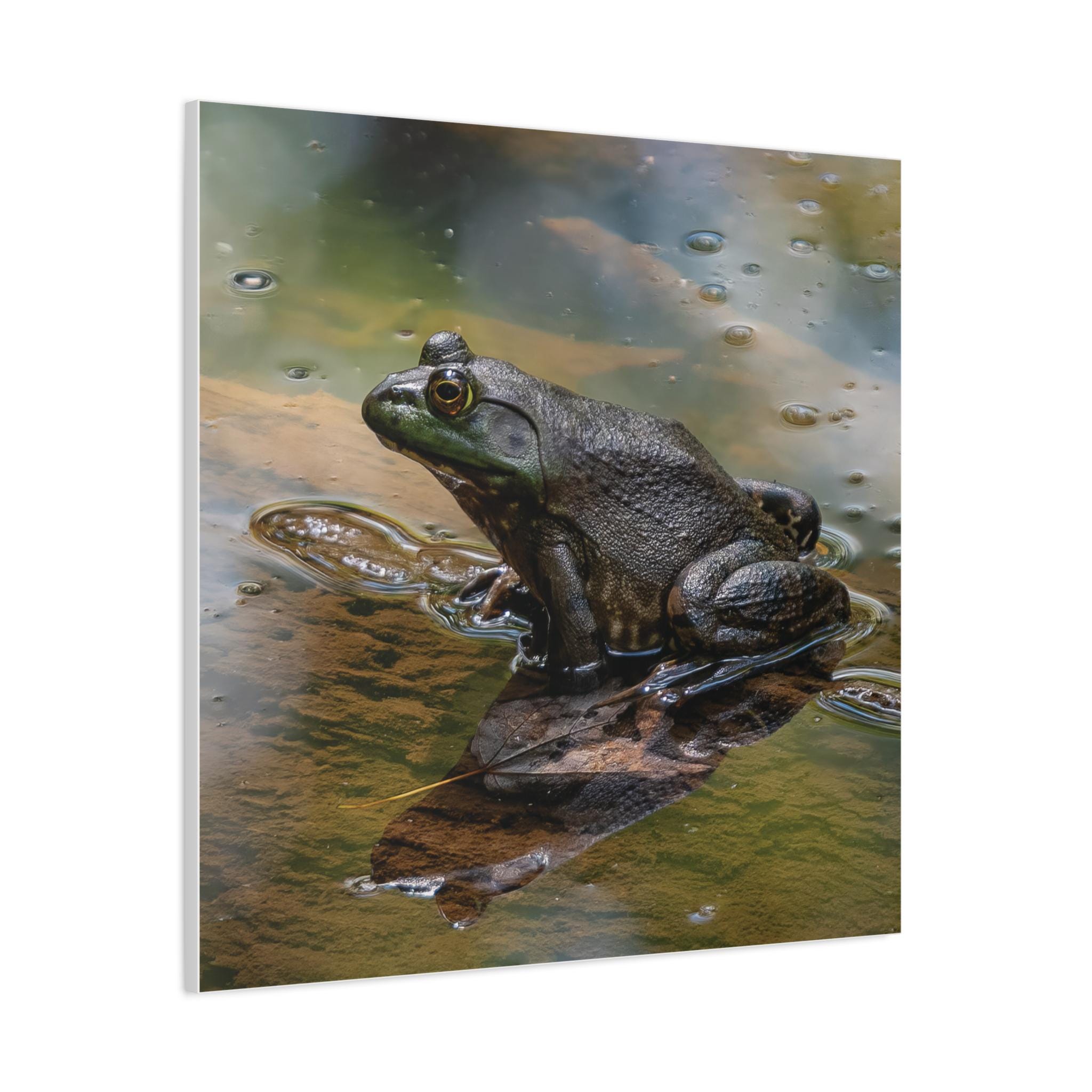 Canvas Print, American Bullfrog Photo Wall Art Decor, Wildlife Nature ...