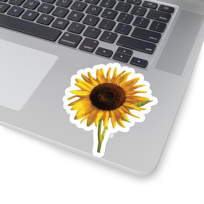 Sunflower Stickers, Sunflowers, Sunflower Seeds, Nature Stickers ...