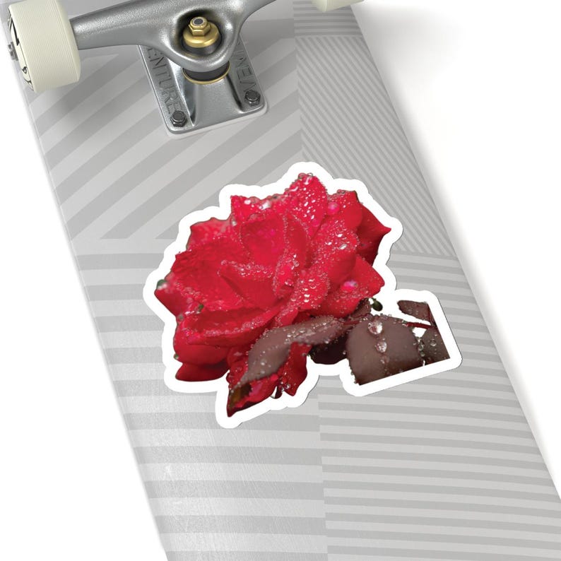 Red Rose Sticker, Roses in the Rain Sticker, Rainy Day Roses, Rainy Day ...