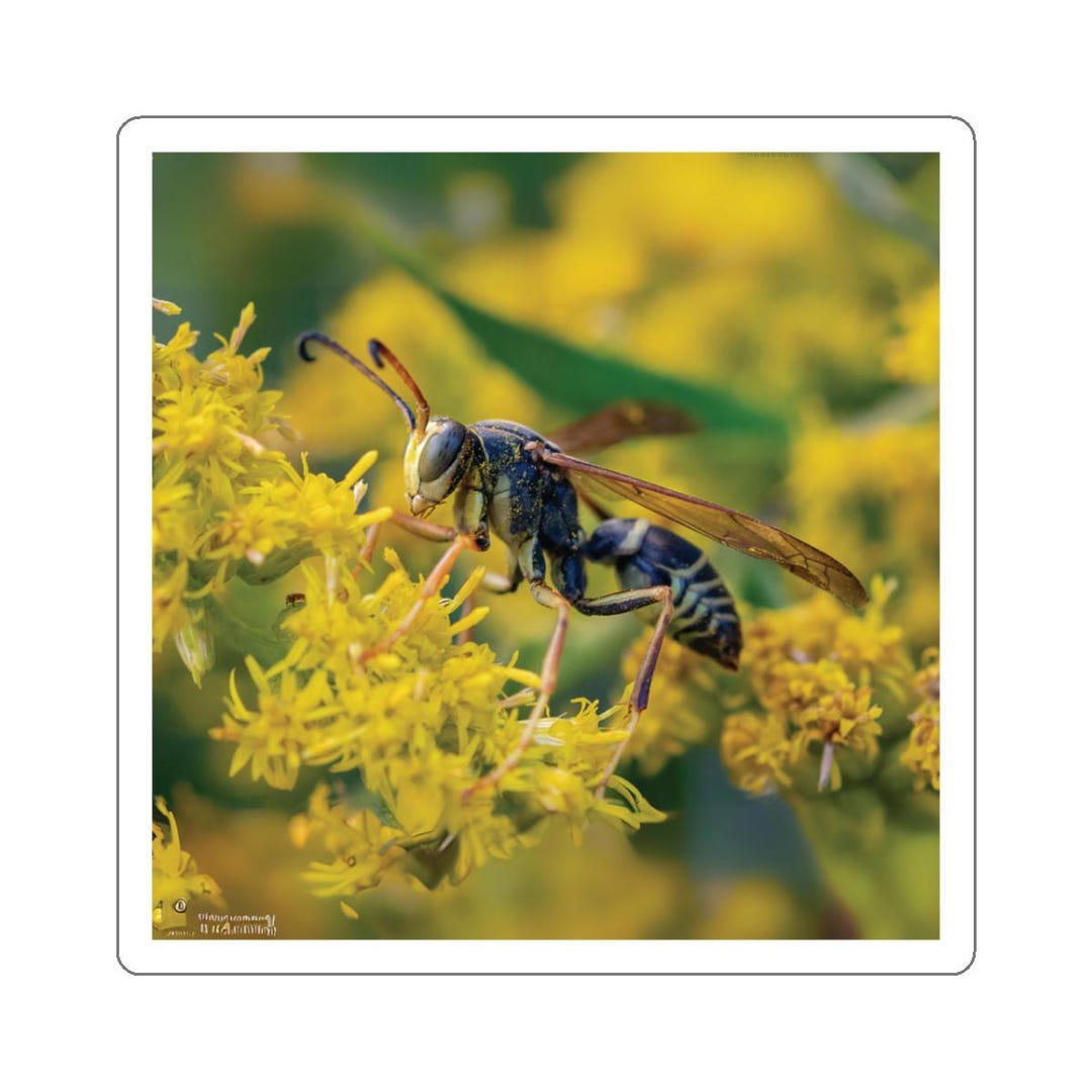 Wasp Stickers, Fancy Wasp, Wasp on Flowers, Insect Stickers, Bug ...
