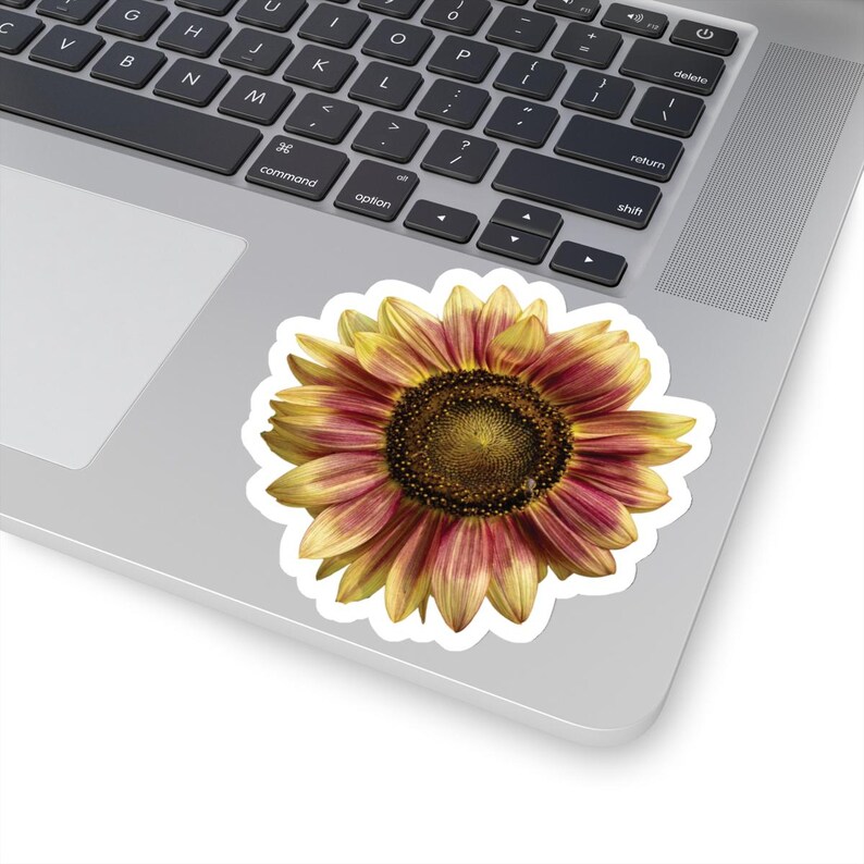 Sunflower Stickers, Sunflowers, Sunflower Seeds, Nature Stickers ...
