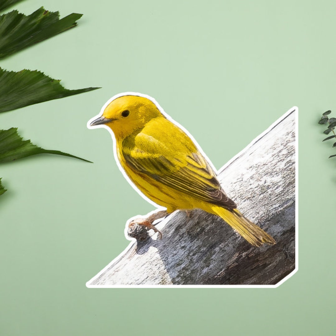 Yellow Warbler Stickers, Songbird Stickers, Song Bird Stickers ...