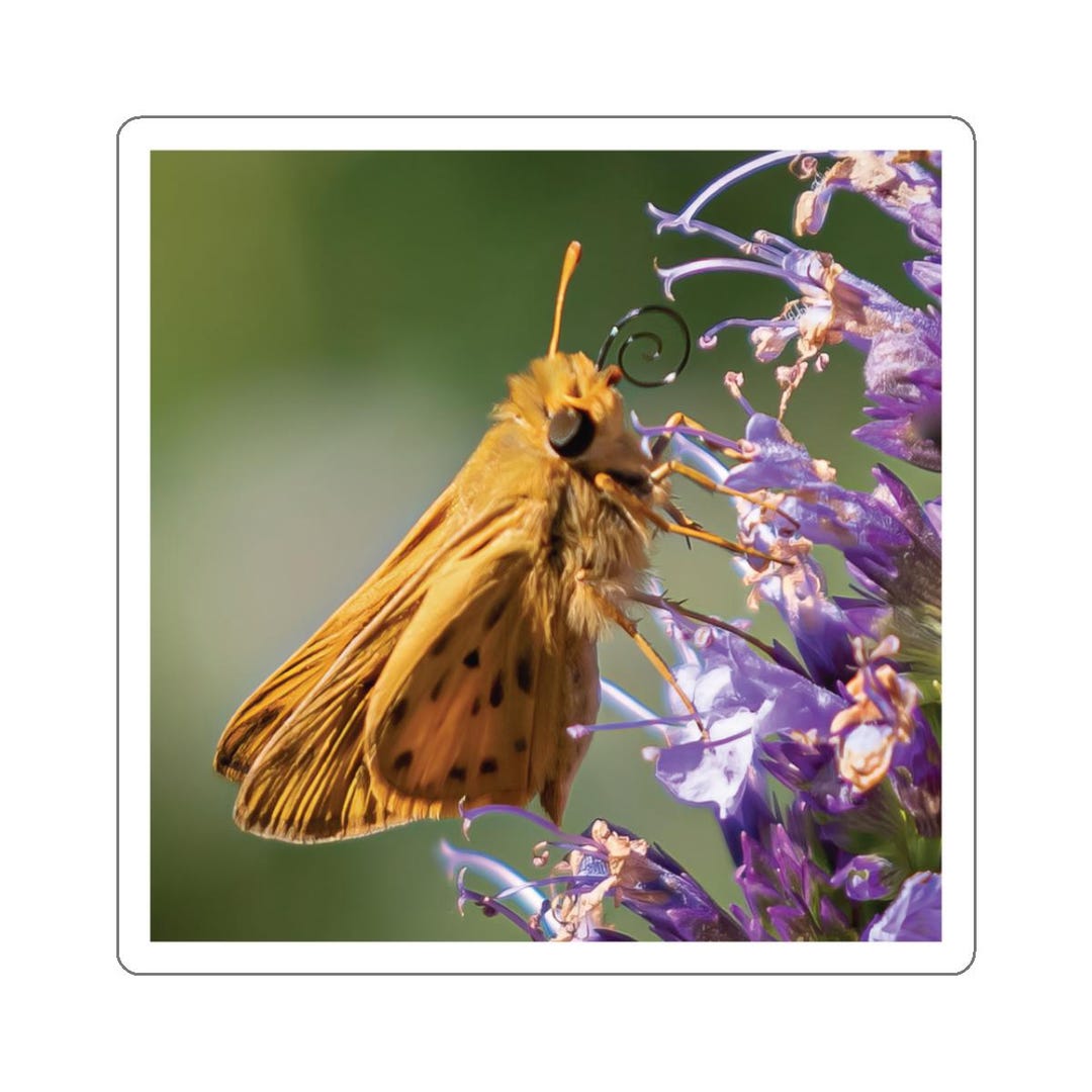 Fancy Moth Sticker, Orange Moth, Pretty Moth on Flowers, Insect Sticker ...