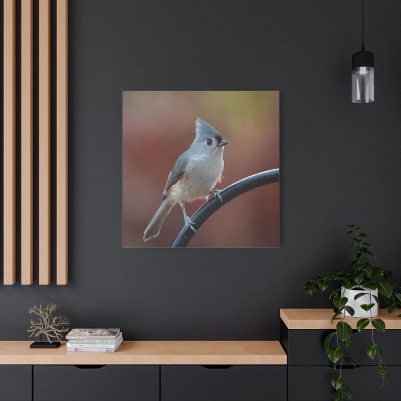 Canvas Print, Tufted Titmouse Bird Photo Wall Art, Nature Lover Gift ...