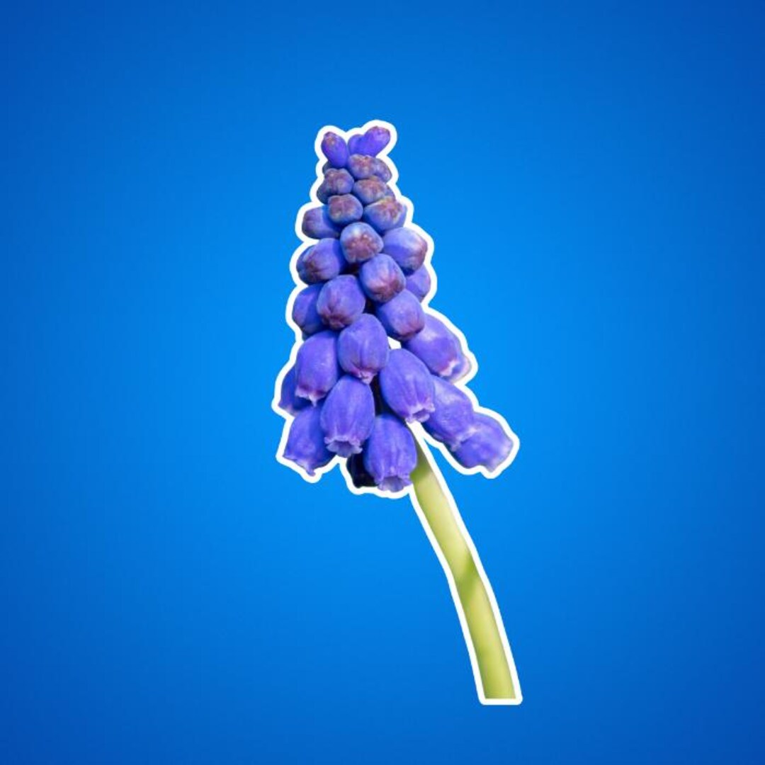 Grape Hyacinth Kiss-cut Stickers - Floral Plant Illustration, Botanical ...