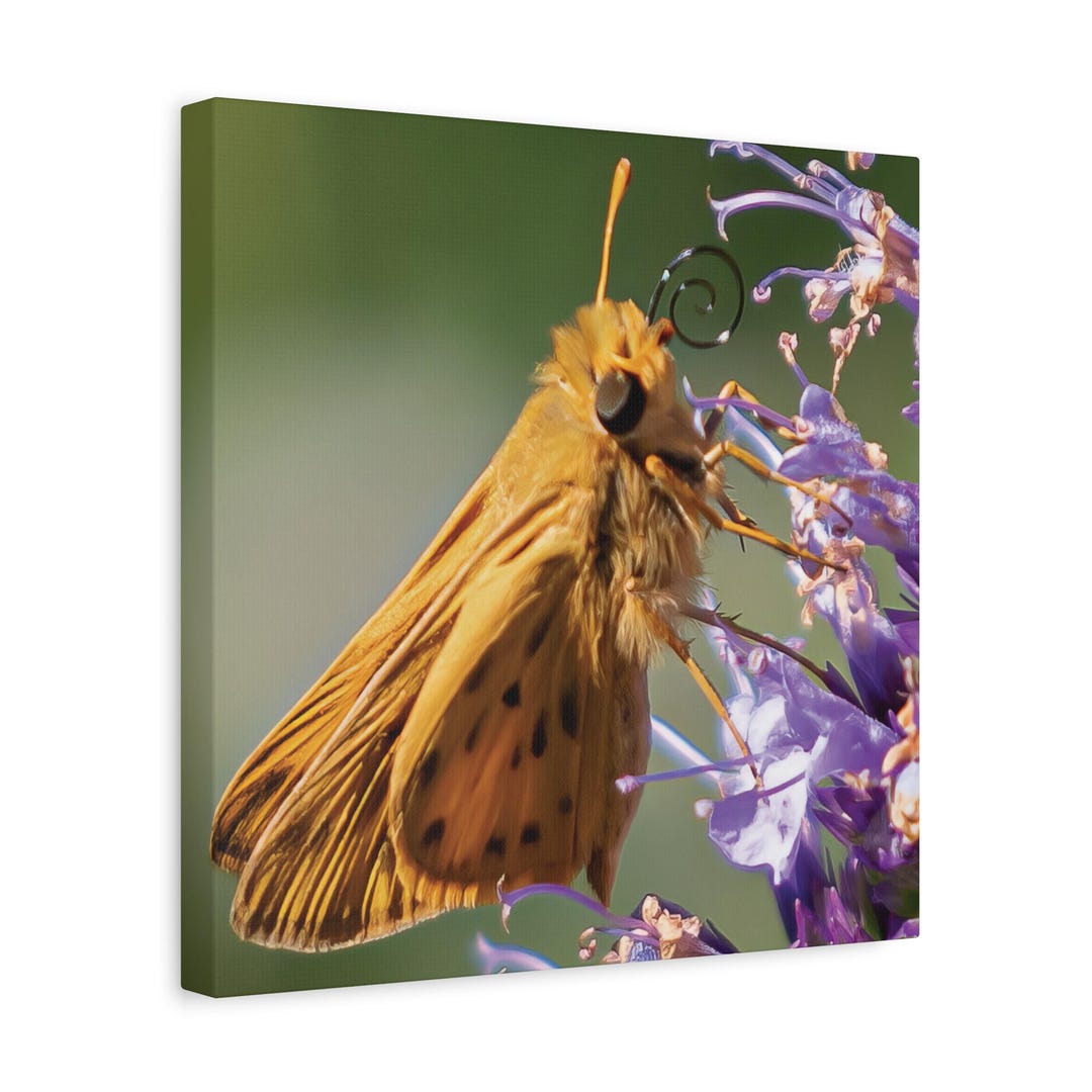 Canvas Print, Fancy Moth on Flowers Photo, Wall Art Decor, Home Decor ...
